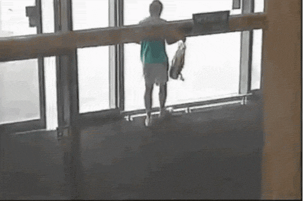 20 gifs qui montrent combien les portes vitrées sont dangereuses (mais ...