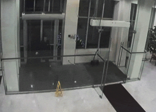 20 gifs qui montrent combien les portes vitrées sont dangereuses (mais ...