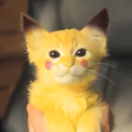 VIDEO VINE : Le pikachu cat