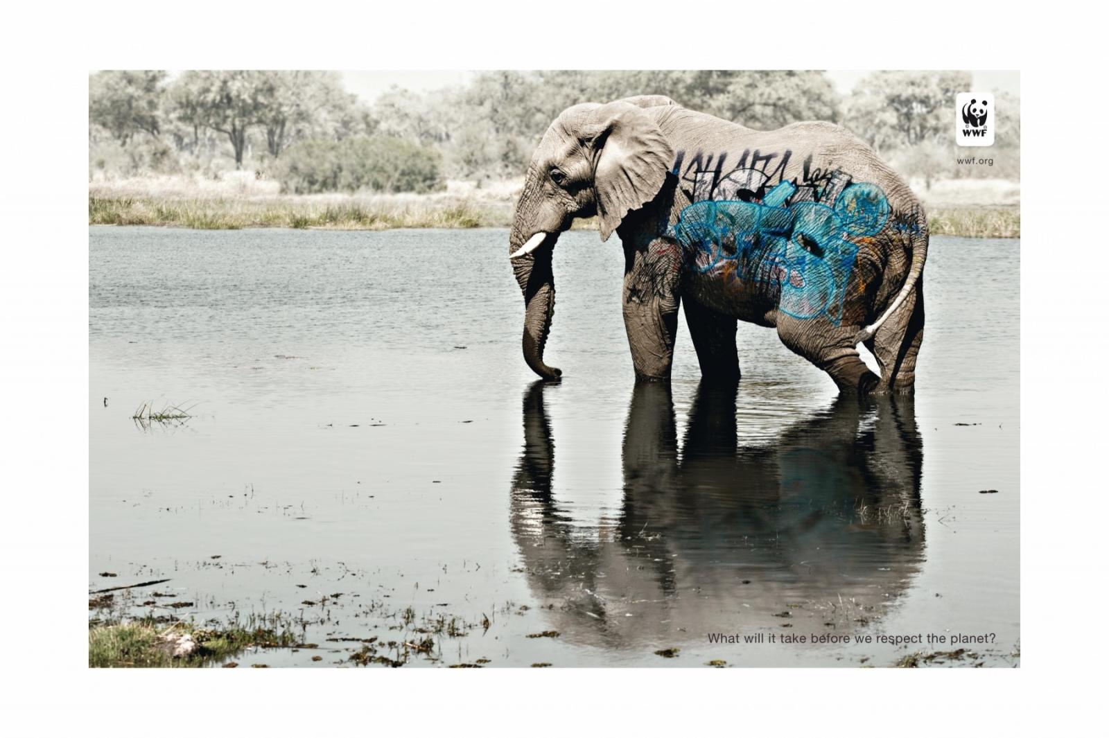 VIDEO : le nouveau spot intrigant de WWF