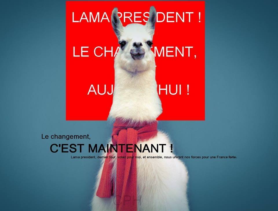 Lamaoutai : la parodie hilarante sur le lama qui a pris le tramway à ...