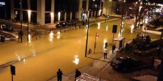 Poonami : le tsunami d'excréments qui a envahi Londres