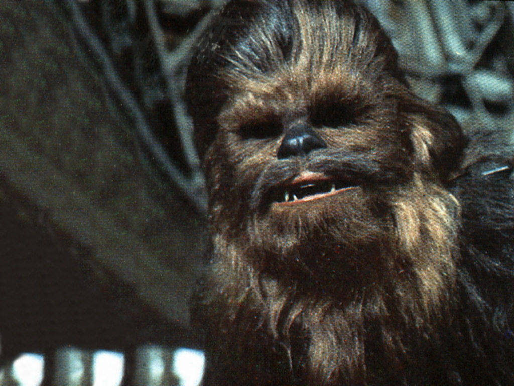 Star Wars VII : Peter Mayhew reprend son costume de Chewbacca