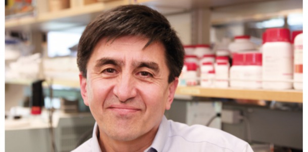 Le clonage humain est désormais possible