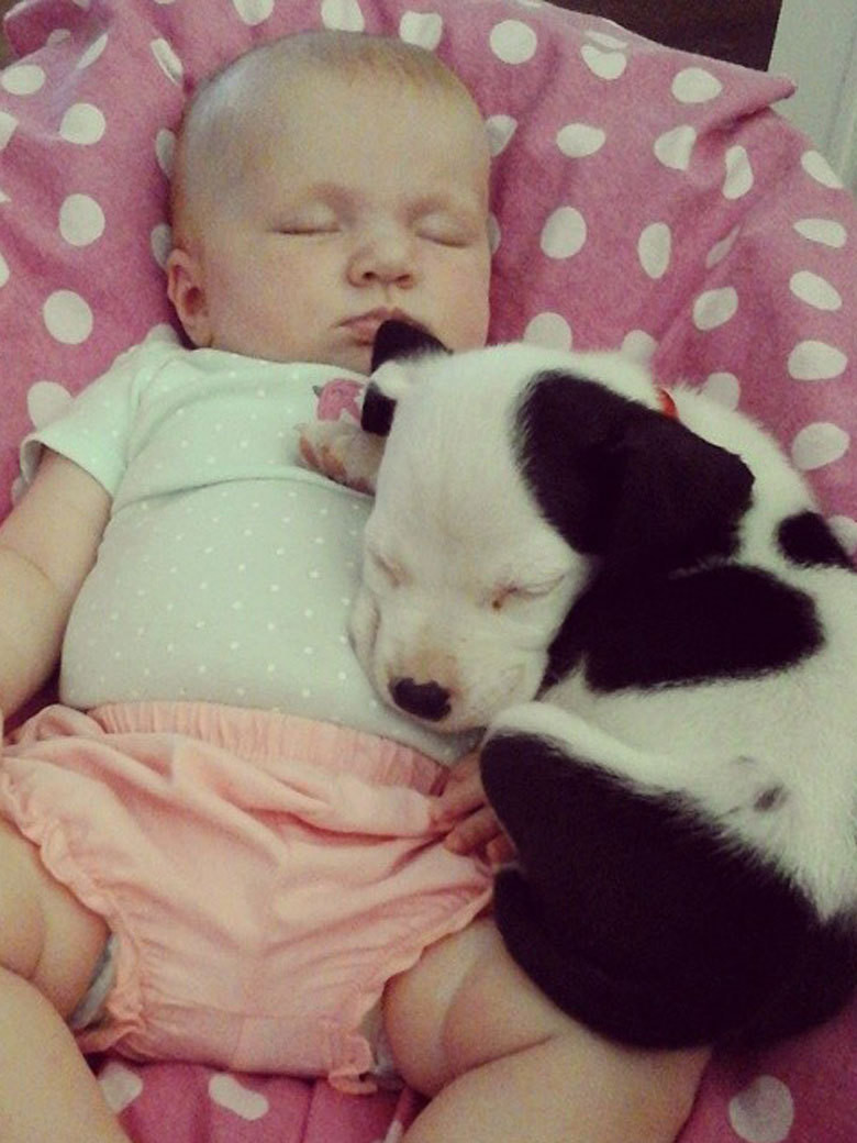 TROP CHOU : un bébé et son meilleur ami le chiot font la sieste
