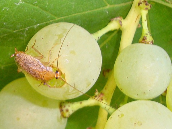 [Photos] 20 faits qui vont vous faire froid dans le dos ! - Page 2 sur 3