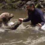 L'incroyable amitié entre un homme et un ours sauvage qui jouent tous ...