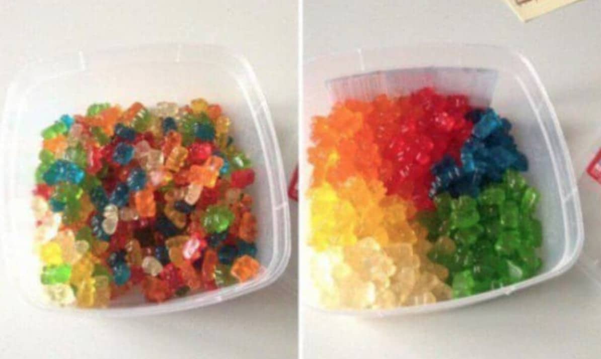 13 photos qui apporteront une très grande satisfaction aux plus grands ...