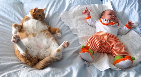 25 photos qui prouvent que le meilleur ami des enfants, c'est le chat ...