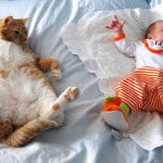 25 photos qui prouvent que le meilleur ami des enfants, c'est le chat ...