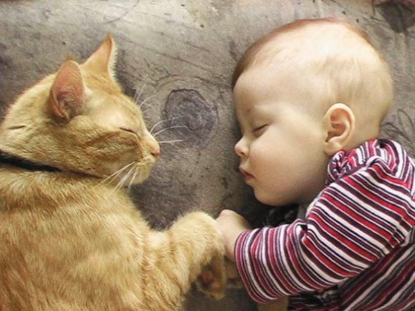 25 photos qui prouvent que le meilleur ami des enfants, c'est le chat ...