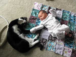 25 photos qui prouvent que le meilleur ami des enfants, c'est le chat