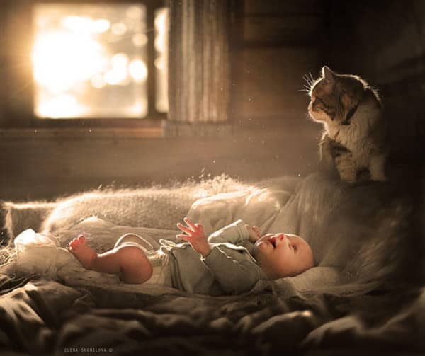 25 photos qui prouvent que le meilleur ami des enfants, c'est le chat ...