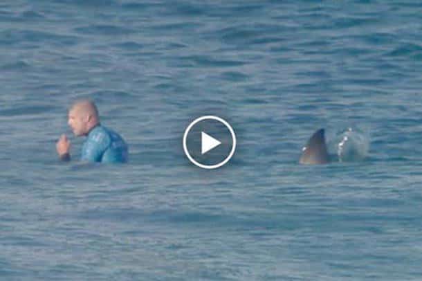 Le surfeur Mick Fanning attaqué par un requin en pleine compétition