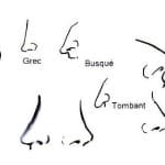 Ce que la forme de votre nez révèle de votre personnalité ! Est-ce que ...