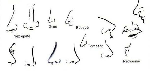 Ce que la forme de votre nez révèle de votre personnalité ! Est-ce que ...