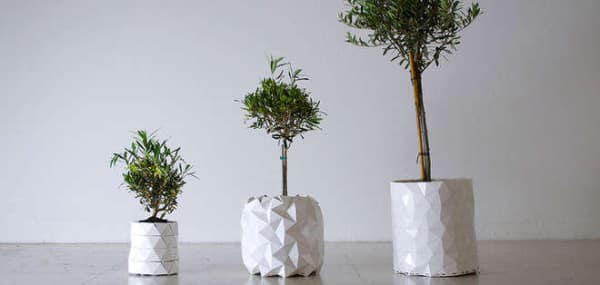 Un pot qui grandit en même temps que la plante