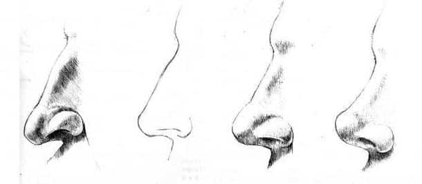 Ce que la forme de votre nez révèle de votre personnalité ! Est-ce que ...