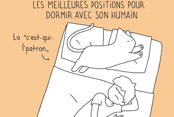 Les 10 positions de votre chat qui pourrissent littéralement votre sommeil