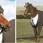 En costume 3 pièces, ce cheval a une sacrée classe