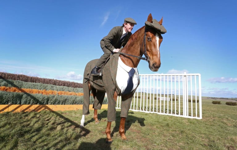 En costume 3 pièces, ce cheval a une sacrée classe
