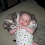 19 adorables photos de bébés et leur chat ! De beaux moments de ...