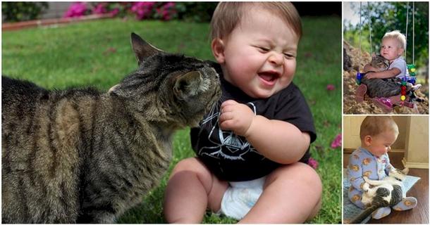 19 adorables photos de bébés et leur chat ! De beaux moments de ...