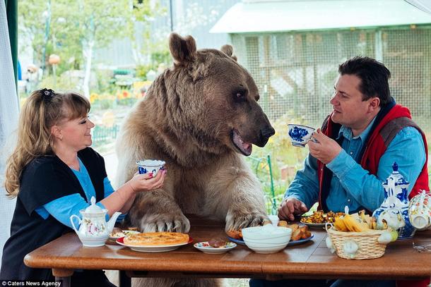 Chaque jour, cette famille Russe partage son repas avec un ours de 140 kg...depuis 23 ans