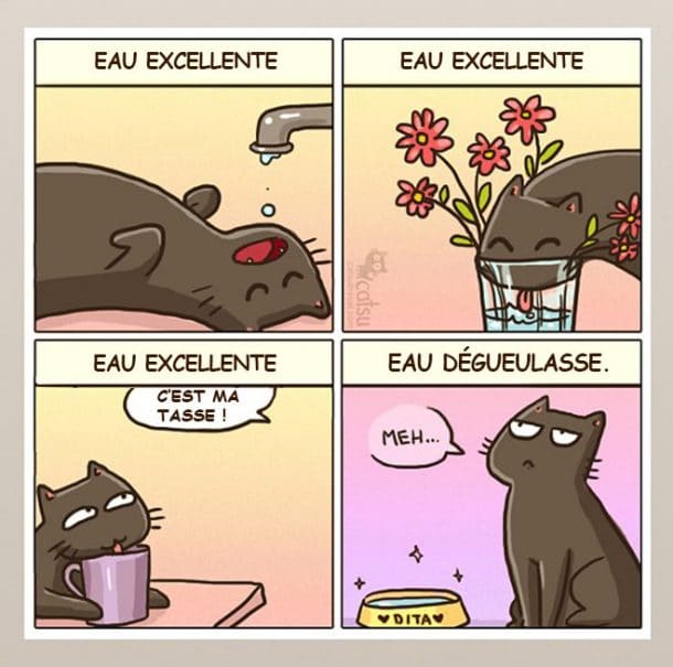 Cette BD illustre le quotidien de tous ceux qui ont un (ou plusieurs ...