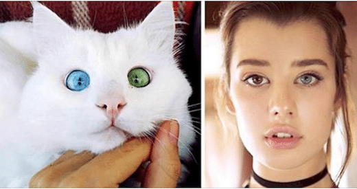 Découvrez 9 photos sublimes de personnes et d'animaux atteints d ...