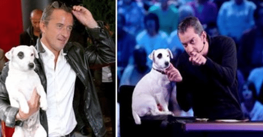 Qu'est-il arrivé au chien de Christophe Dechavanne depuis qu'il n'est ...