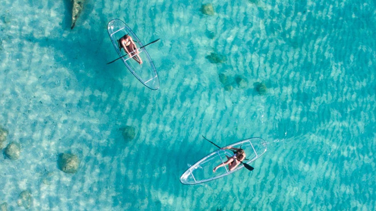 Crystal Explorer : ce kayak transparent vous permet de voir les petits ...