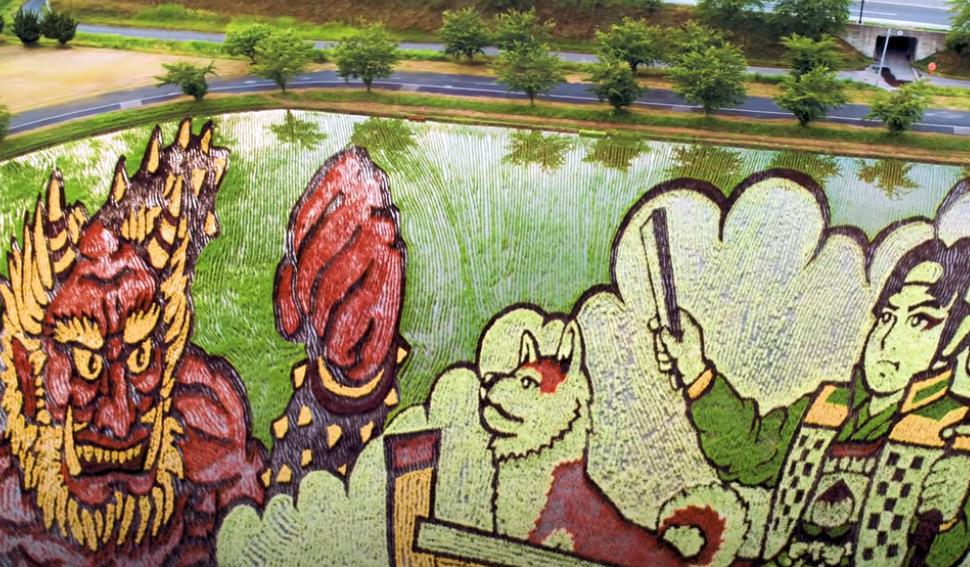 Insolite : ces rizières colorées ont été inventées par un petit village ...