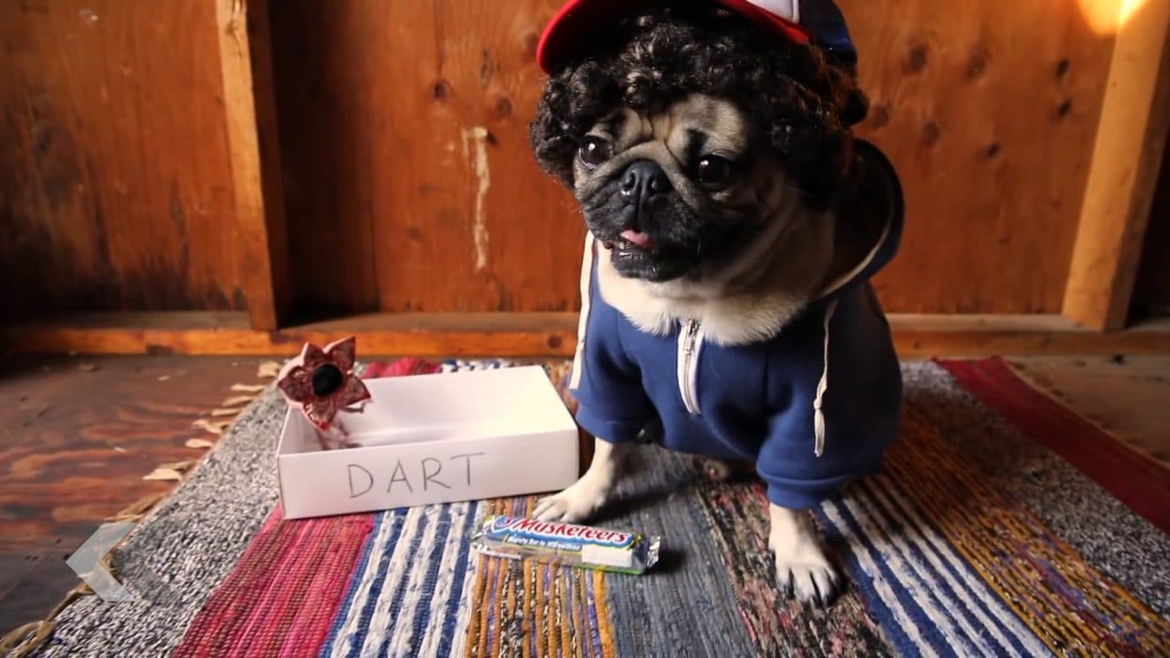 Stranger Things en mode carlins ! (vidéo)