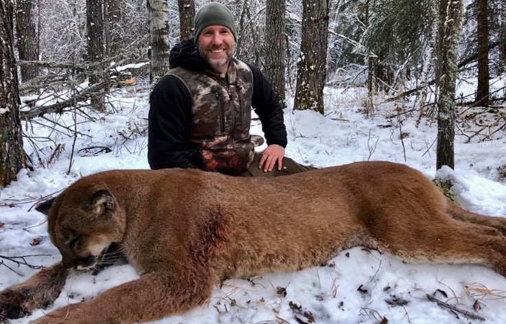 Canada : un animateur télé tue un puma et s'en vante, polémique sur la ...