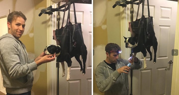 Ce père de famille a une astuce géniale pour couper les griffes de son ...