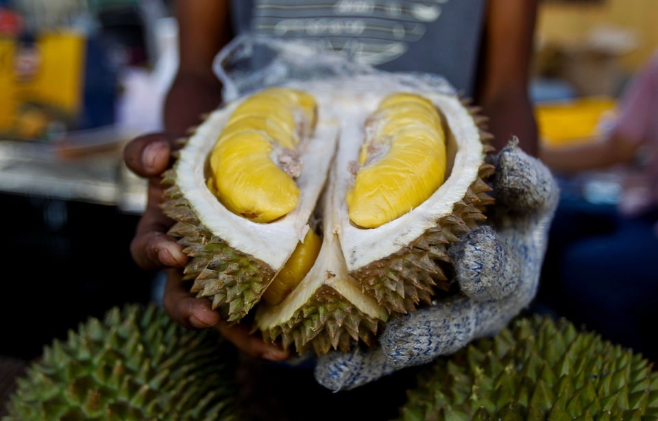 Une Université australienne évacuée... à cause d'un durian pourri ...