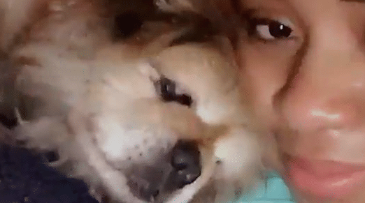 Mya Davis dit au revoir à son vieux chien et il va avoir une adorable ...