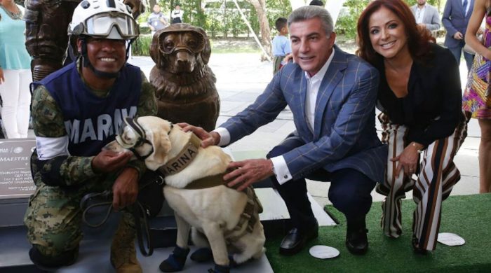 Un chien de secours au Mexique obtient un statut à son effigie pour ...
