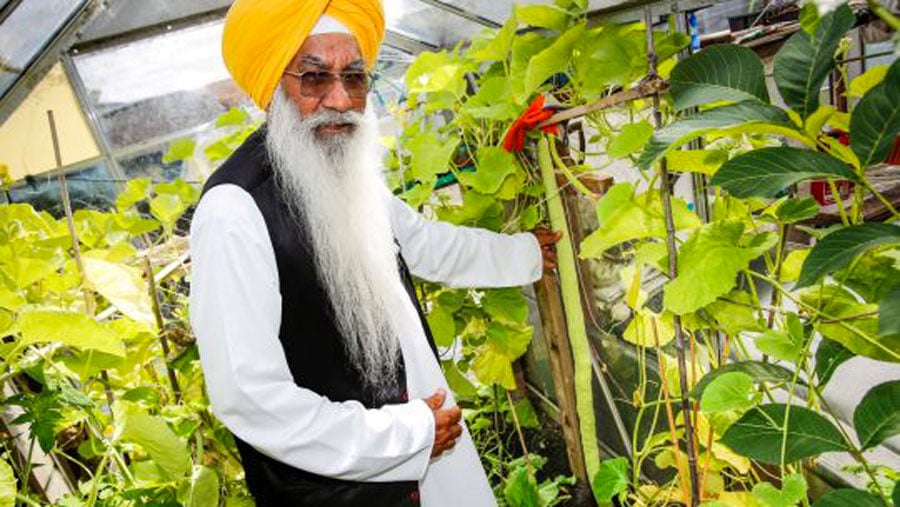 Ce prêtre cultive un concombre record de 130 cm qui grandit grâce à ses ...