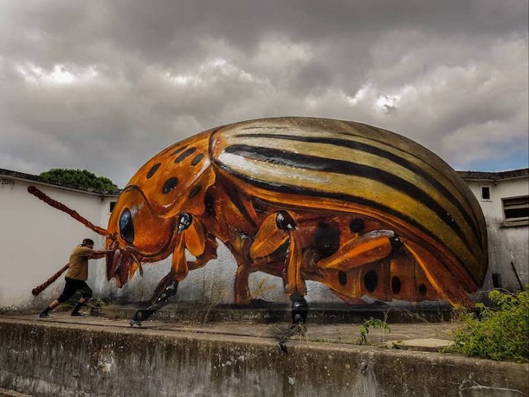 Le jeu du rond a 18 ans... et découvrez dans quelle série il a été ...