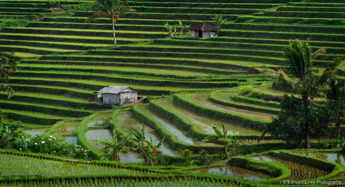 30 photos: les plus beaux paysages d'Asie