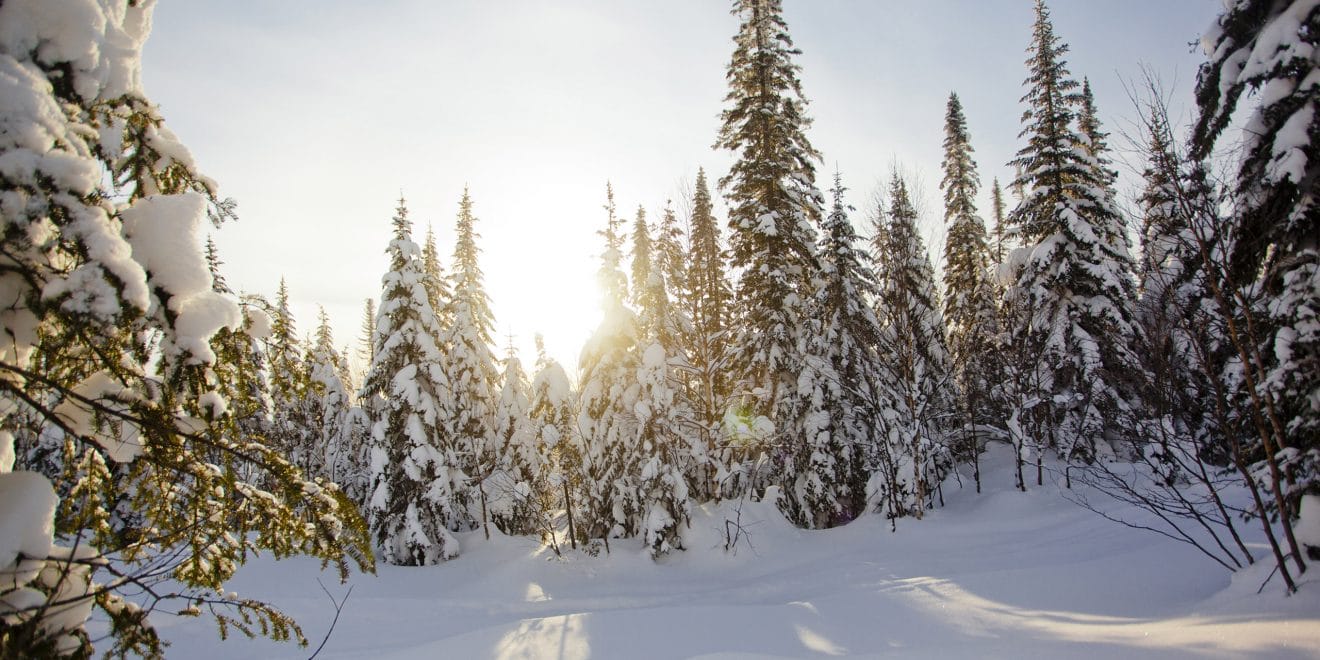 10 destinations de rêve qui vont vous faire aimer l'hiver