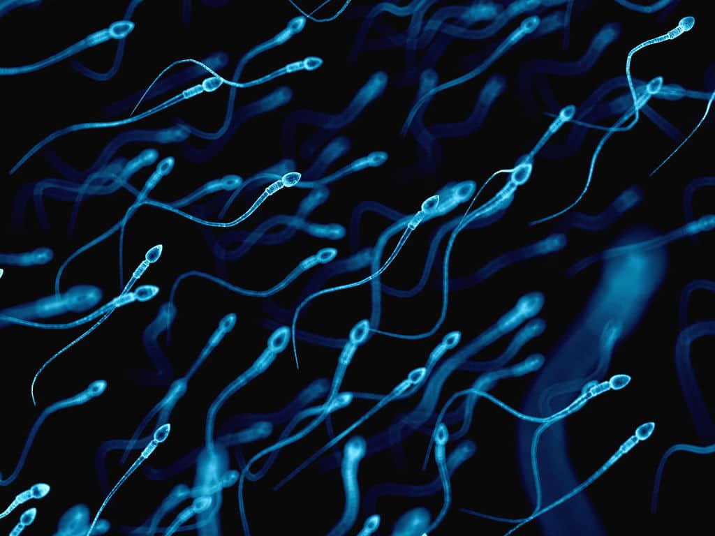 Un gel contraceptif pour homme bientôt disponible