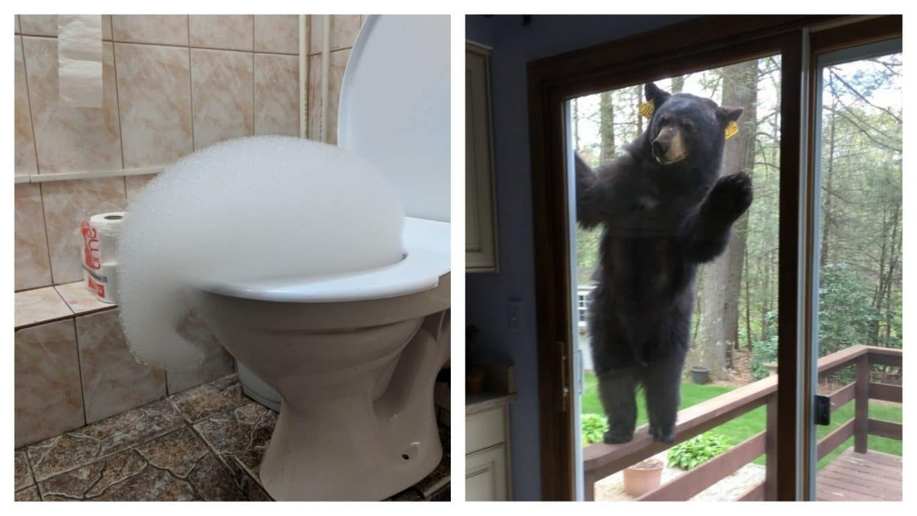 18 photos absurdes qui prouvent qu'il arrive des choses étranges à tout ...