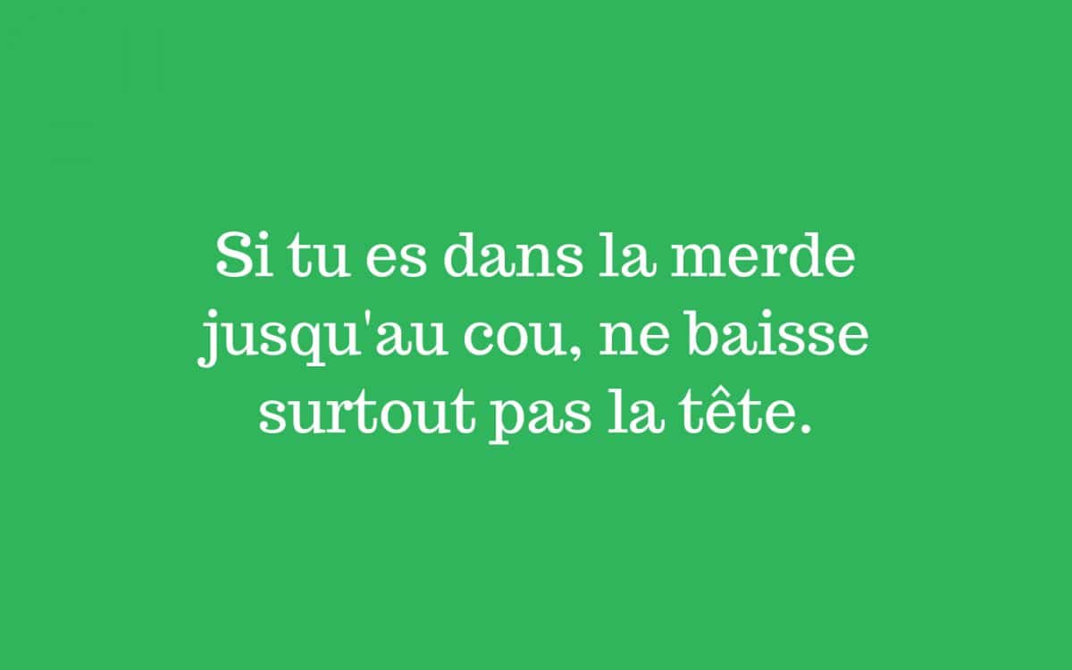 80 proverbes tellement drôles que vous allez les adopter - Page 3 sur 16