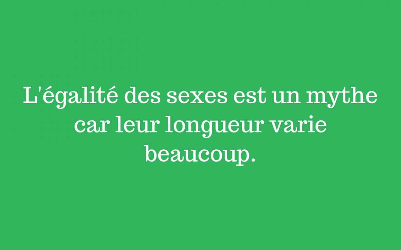 80 proverbes tellement drôles que vous allez les adopter - Page 16 sur 16