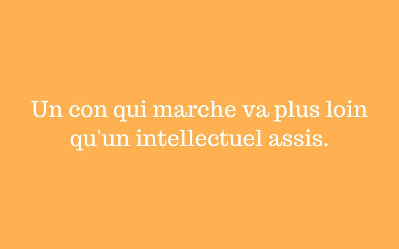 80 proverbes tellement drôles que vous allez les adopter