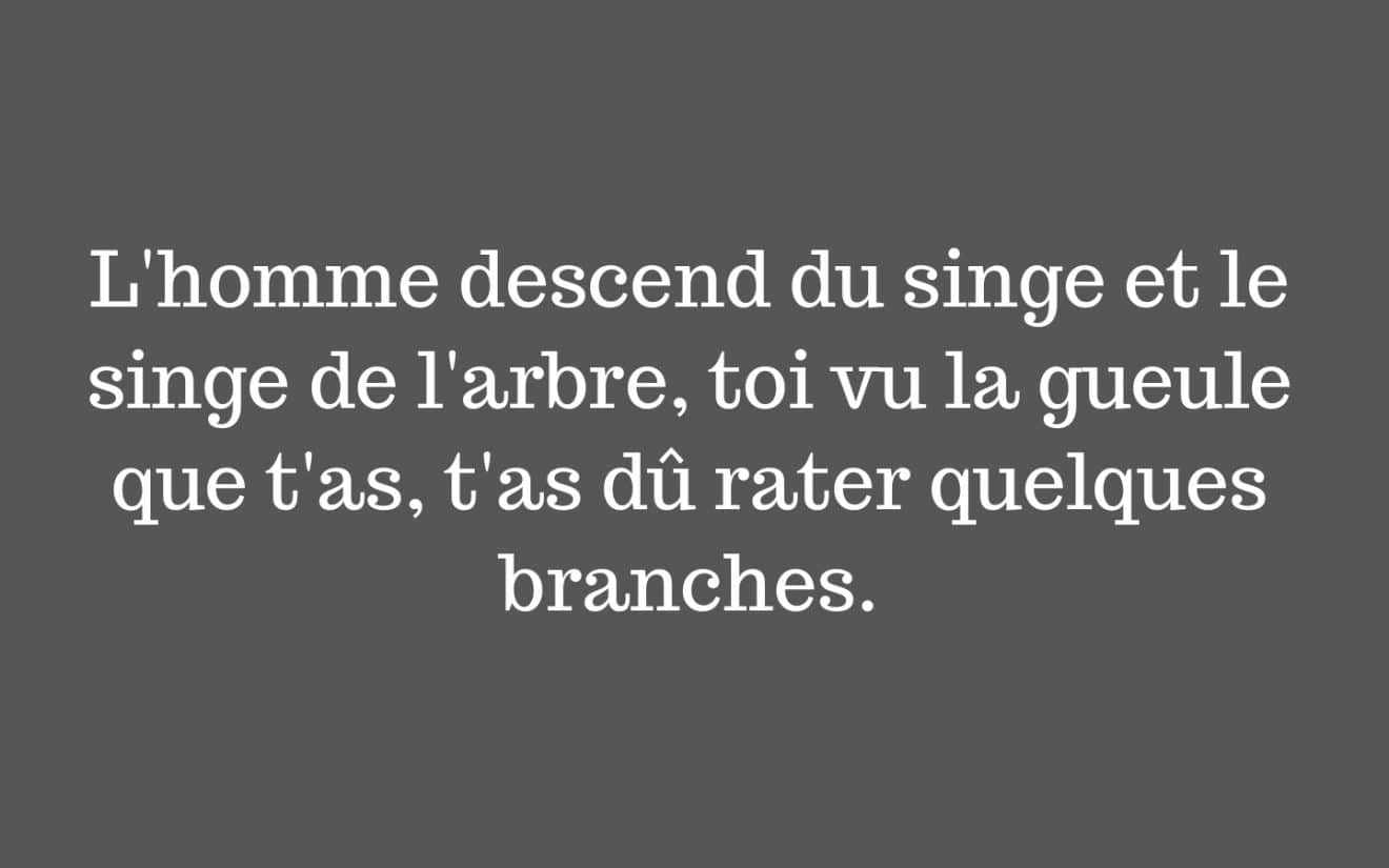 80 proverbes tellement drôles que vous allez les adopter - Page 13 sur 16