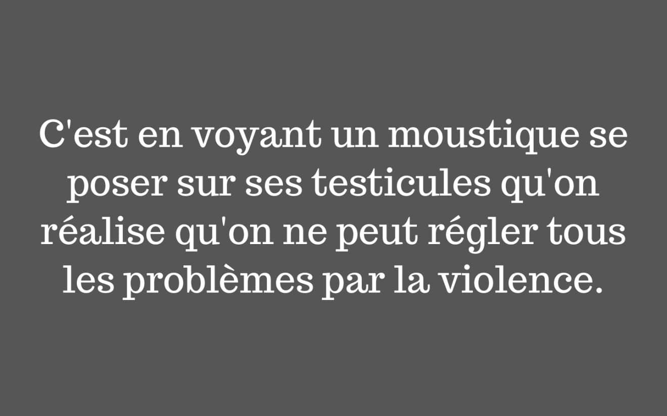 80 proverbes tellement drôles que vous allez les adopter